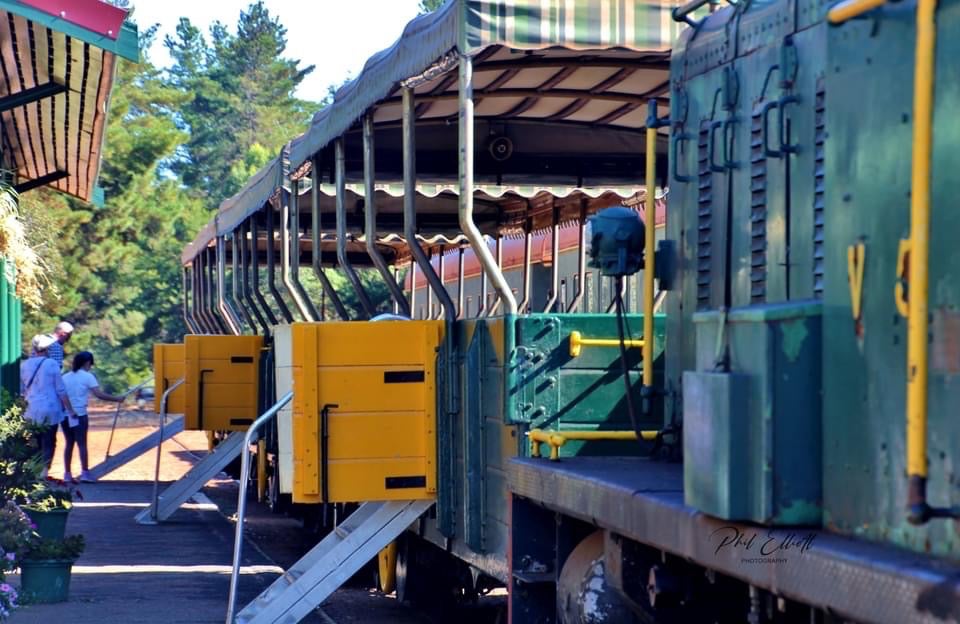 Forest Train | Hotham Valley Railway