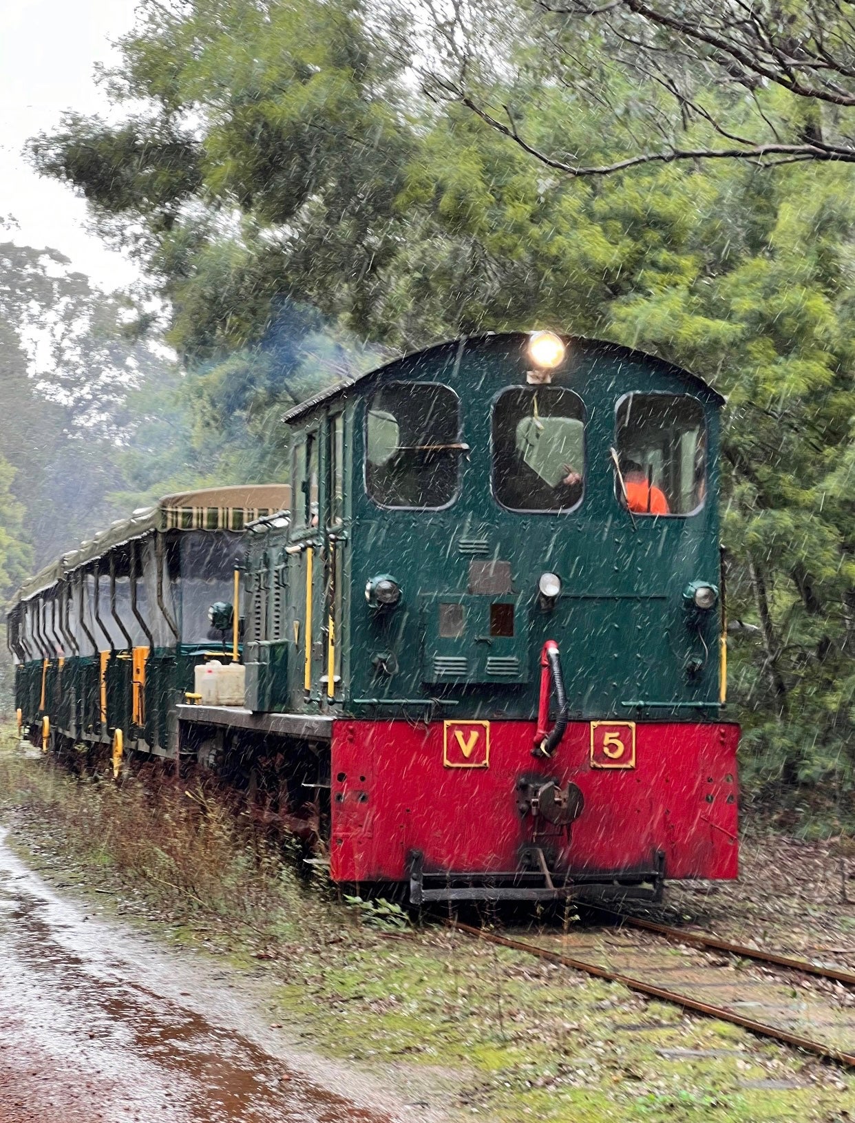 Forest Train | Hotham Valley Railway