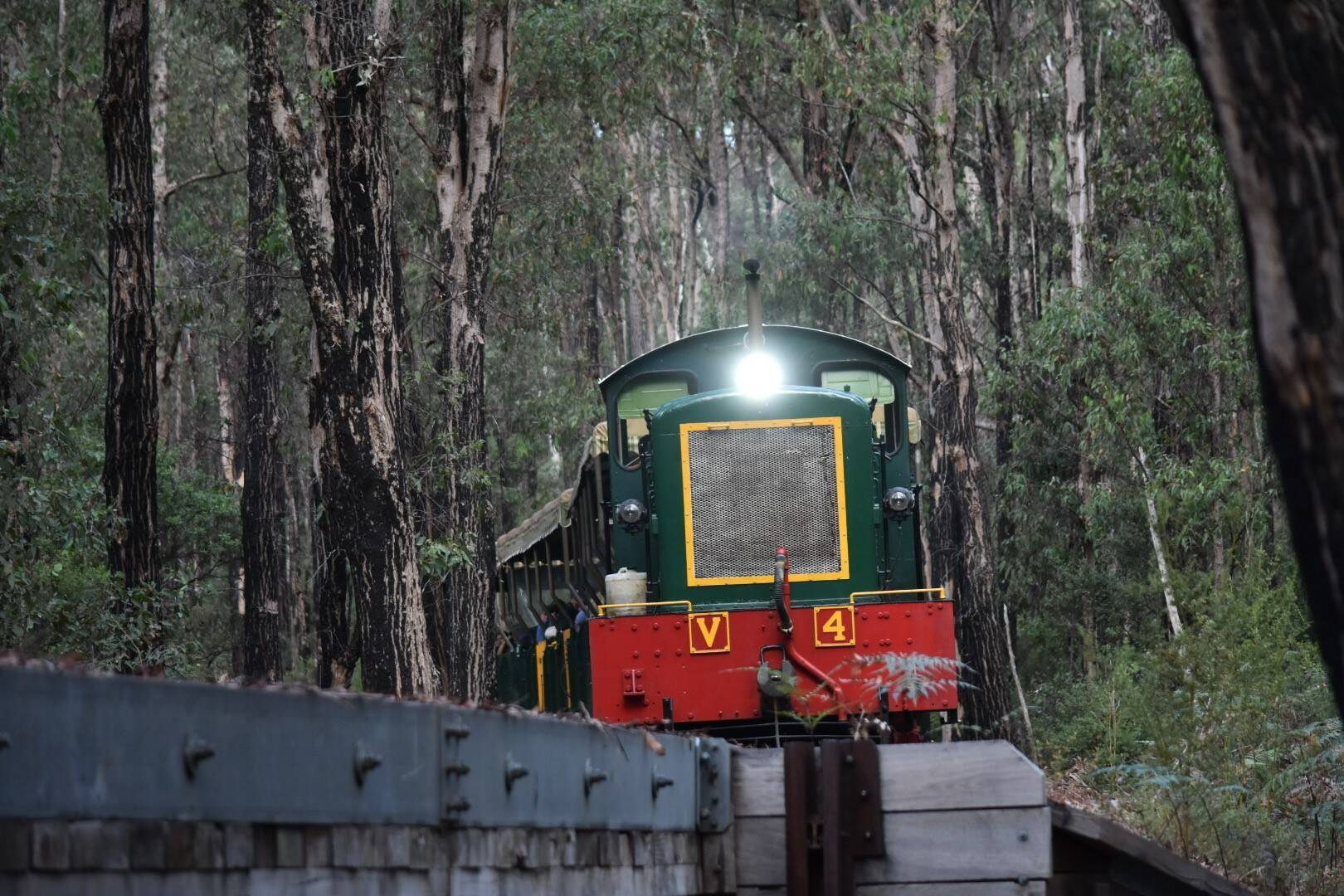 Forest Train | Hotham Valley Railway